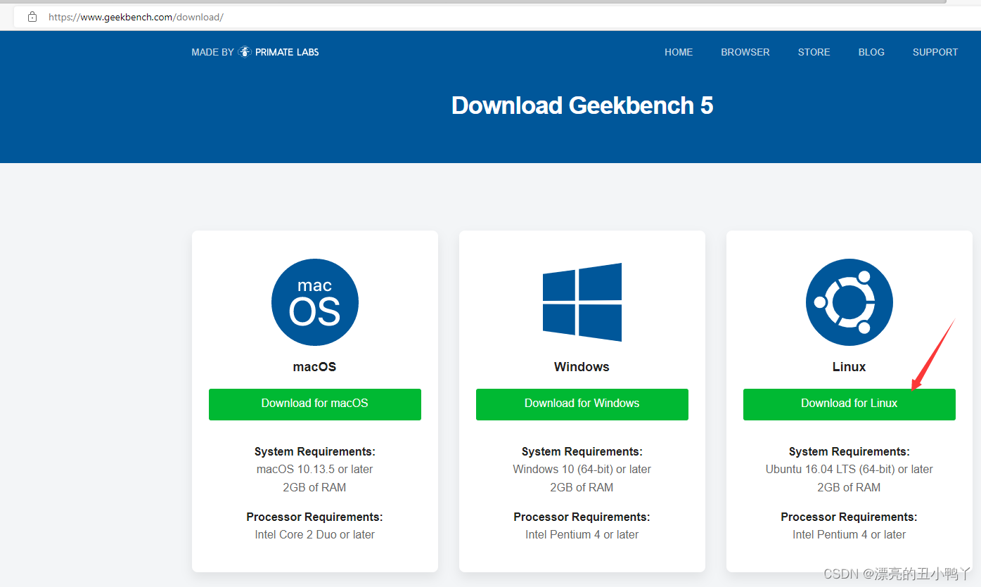 服务器性能测试之GeekBench_geekbench linux 安装-CSDN博客