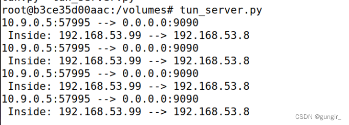 seedlab:V** tunneling The Container Version_seedlab:virtual private network lab-CSDN博客