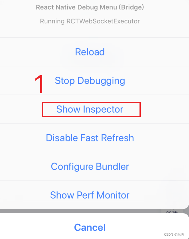 React Native 调试工具react Native Debugger使用 Csdn博客