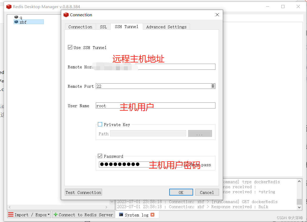 使用redisdesktopmanager通过ssh连接远程主机中docker容器的redisredis Desktop Ssh连接 Csdn博客 