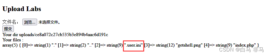 青少年CTF——CheckIn文件上传绕过——WriteUp_ctf checkin-CSDN博客