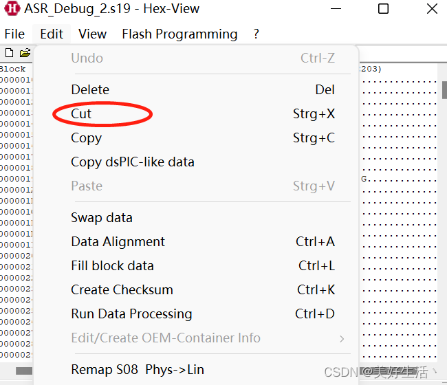 hexview vector刷写文件脚本处理工具-CSDN博客