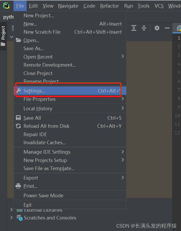 PyChrm 引入 import paddle 报错-CSDN博客