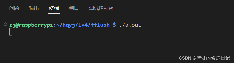 流刷新函数：fflush()的介绍和用法-CSDN博客