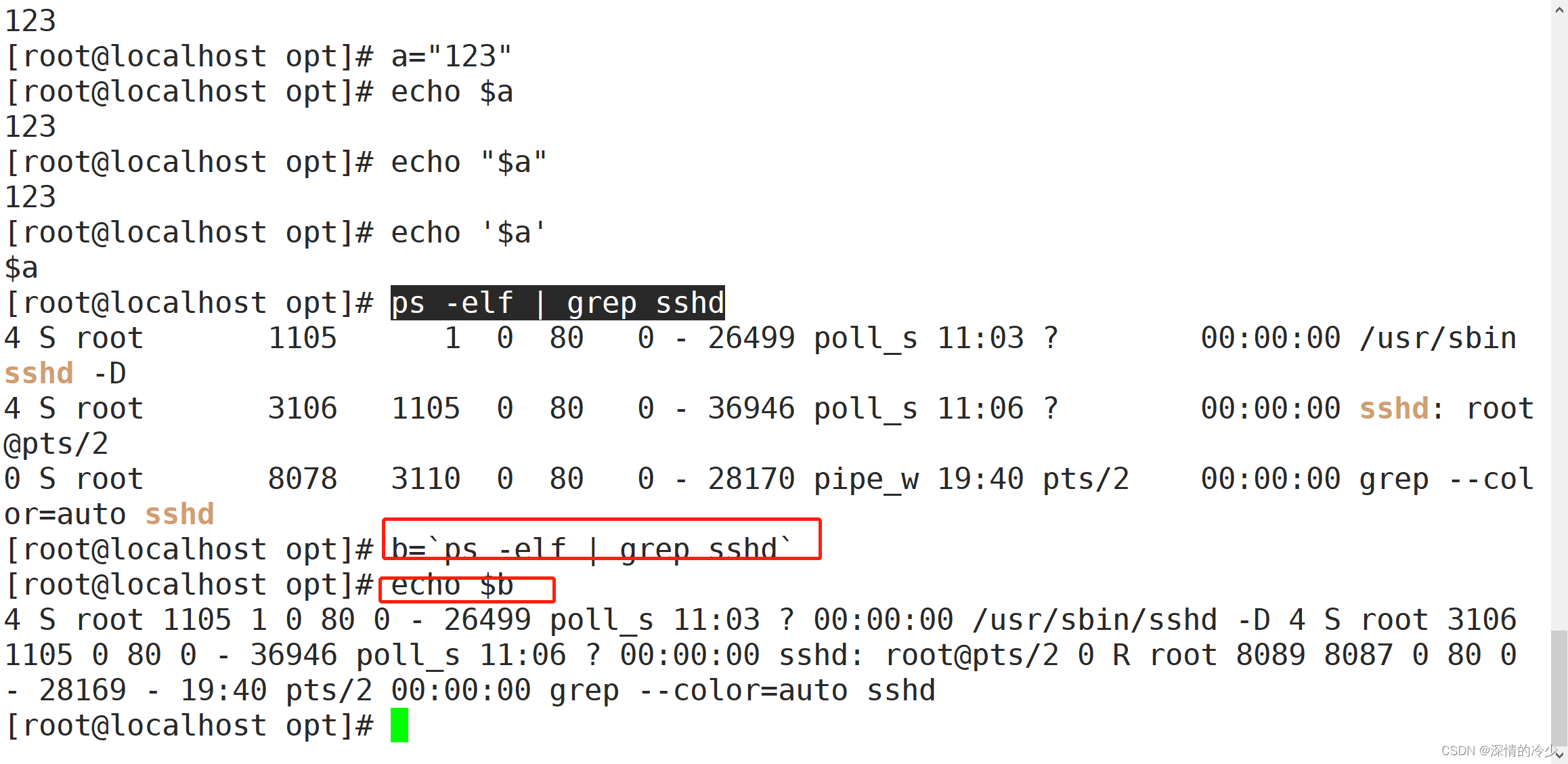 Shell编程规范与变量-CSDN博客