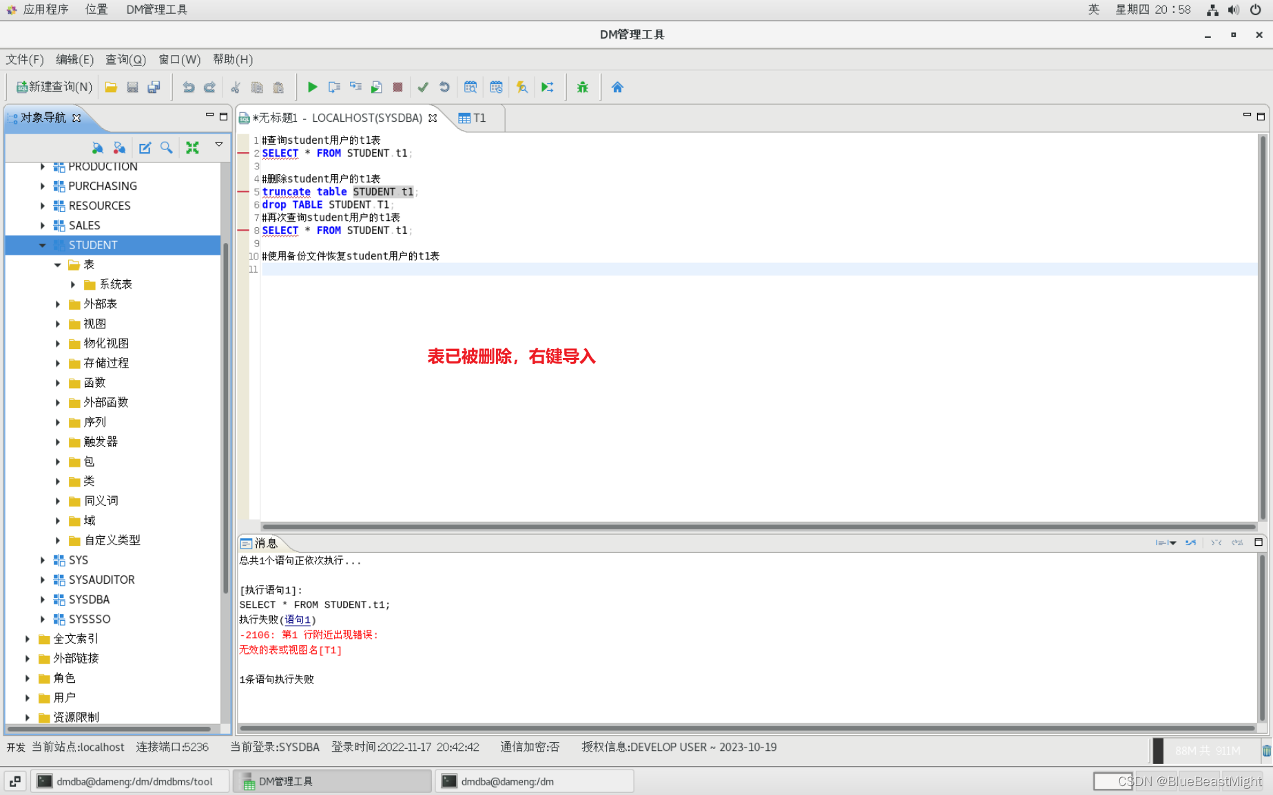 四、DM Manager工具使用_dm数据库连接工具-CSDN博客