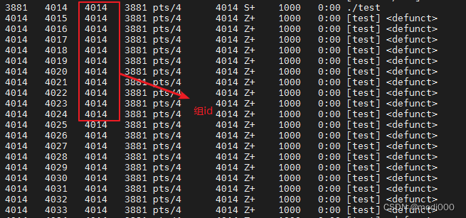 进程常用的三个函数fork、exec、wait（few函数）_fork,wait,exec-CSDN博客
