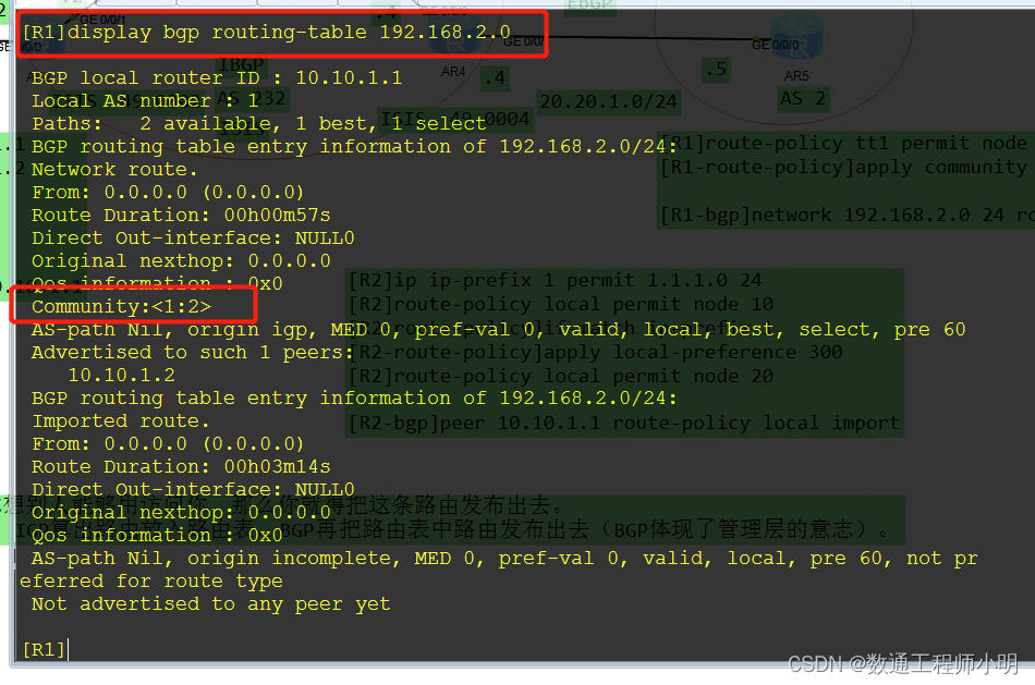 BGP基础详解（HCIP）-CSDN博客