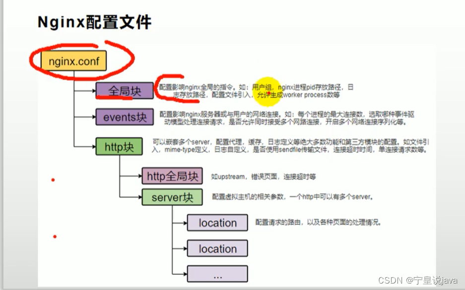 Nginx入门实战关于nginx的项目 Csdn博客