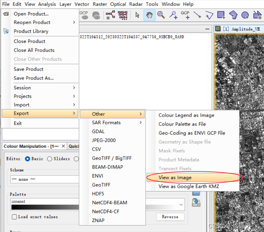 构建自己的哨兵数据集（以sentinel-1为例，使用SNAP软件）-CSDN博客
