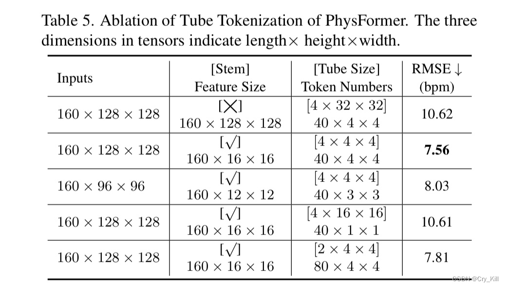 PhysFormer_physformer++-CSDN博客