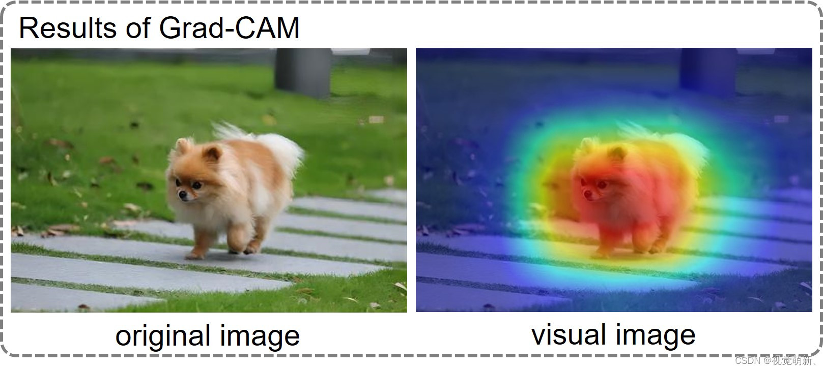 物体定位：Grad-CAM论文笔记——Grad-CAM: Visual Explanations from Deep Networks via ...