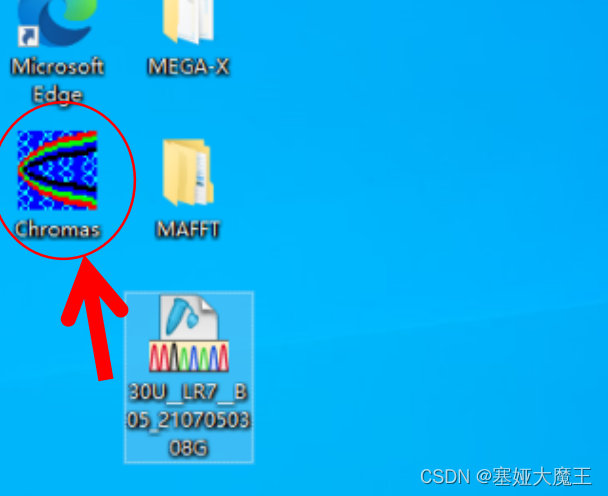 测序结果峰图分析&物种鉴定方法1.0_ab1文件怎么打开-CSDN博客