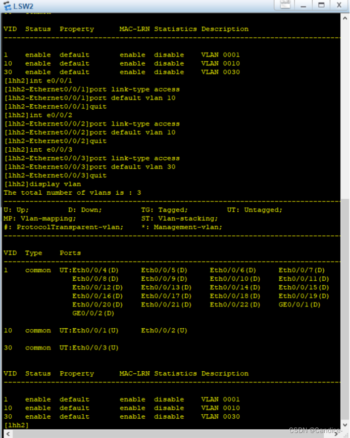 使用ENSP完成虚拟局域网（VLAN）配置 的实验_enspvlan配置实验报告-CSDN博客