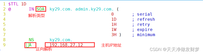 Linux：DNS域名解析_linux添加dns解析-CSDN博客