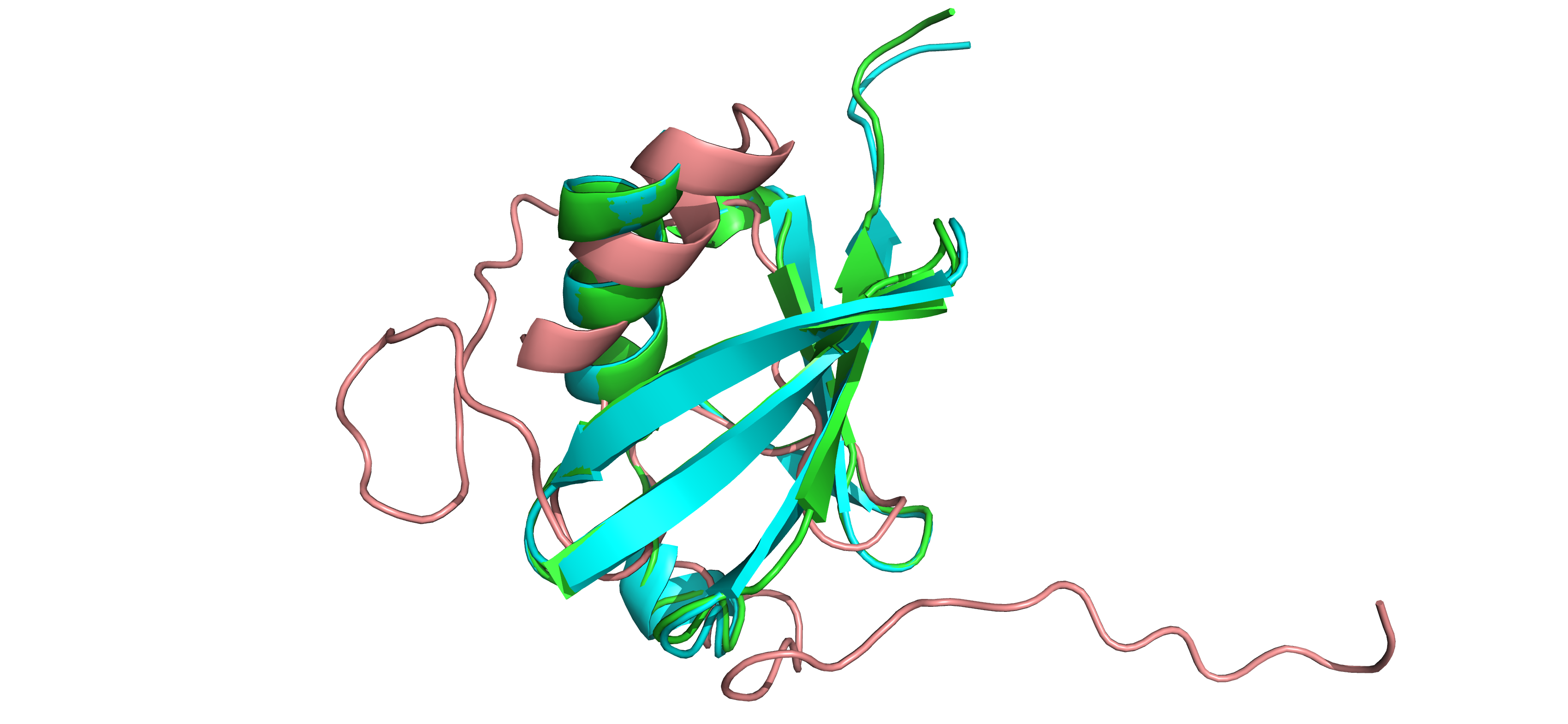 Rosetta Tutorial 11 & 12 翻译 | 主要为 Relax 部分_rosetta relax-CSDN博客