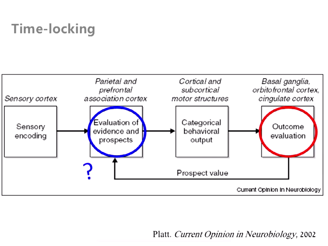 脑电实验设计的原理与实例-EEG Processing and Feature 4-CSDN博客