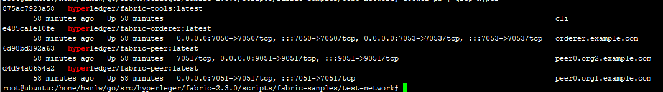 Hyperledger Fabric2.3 环境搭建及Fabric 测试网络使用_bootstrap.sh-CSDN博客