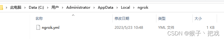 ngrok 错误 ERR_NGROK_108，并且有时闪退_authentication failed: your account is limited to -CSDN博客