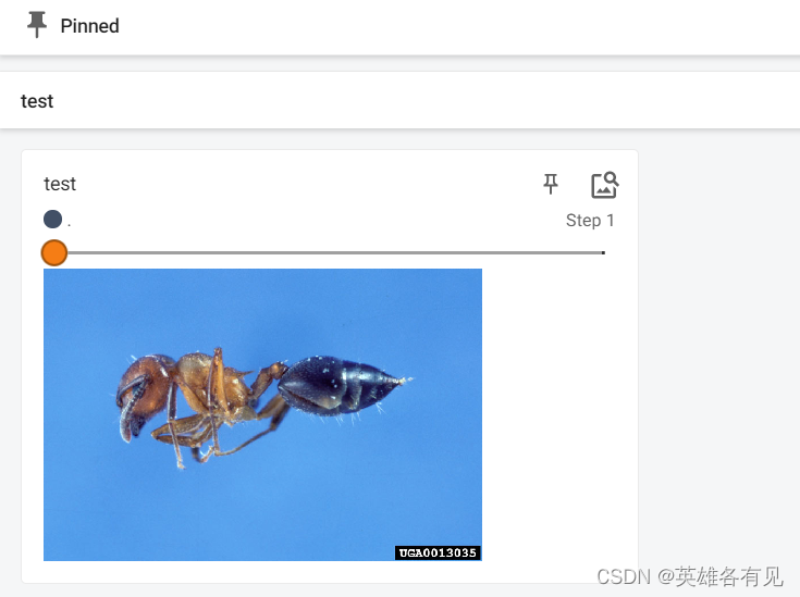 Pytorch Tensorboard的基本用法二——add Image Addimage Csdn博客