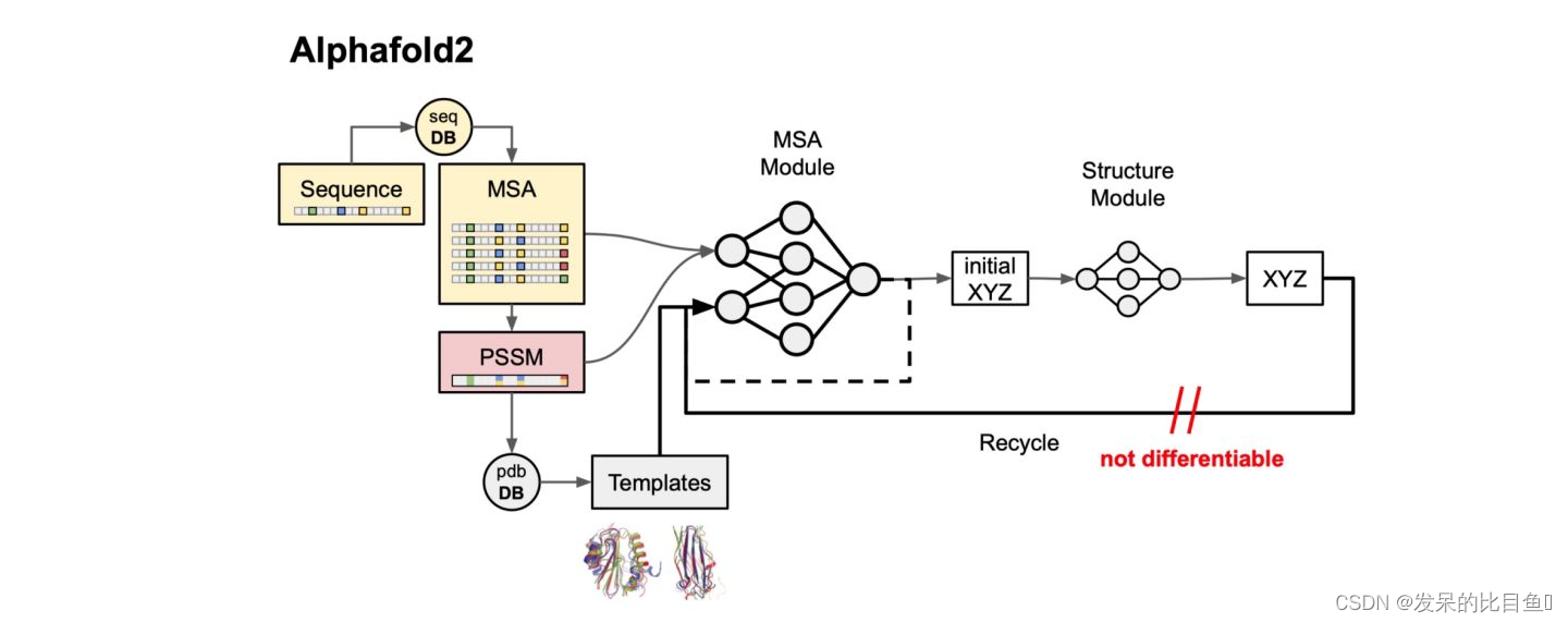 Alphafold2源代码导读_alphaflod2 msa-CSDN博客
