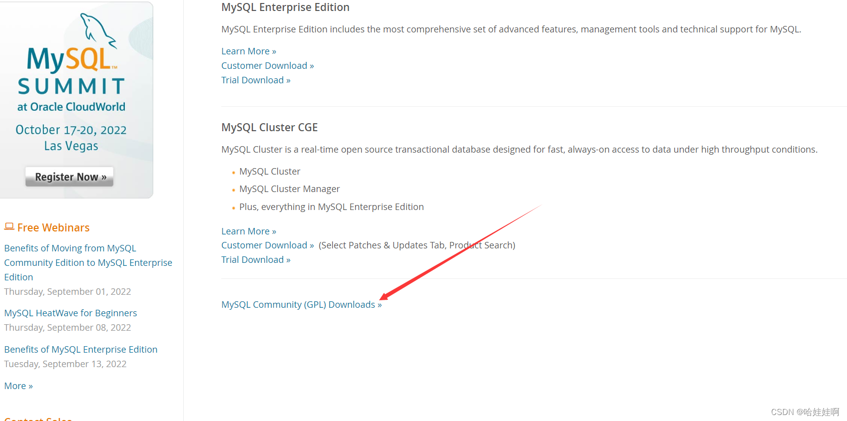 Mysql的下载与安装（仅安装）为什么mysql安装界面account And Roles Csdn博客 