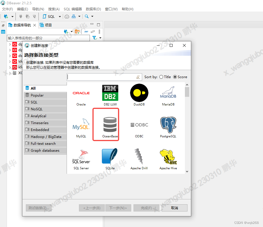 dbeaver连接OceanBase数据库_oceanbase-client-2.4.3.jar驱动包怎么使用-CSDN博客