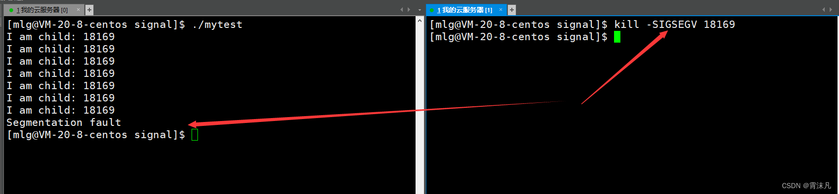 Linux —— 进程信号_sighandler-CSDN博客