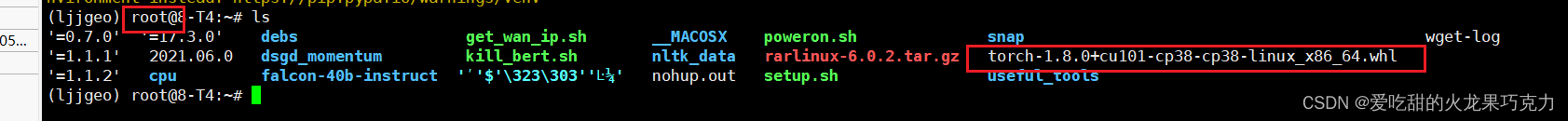 学校服务器安装cuda版本的pytorch+DGL（联网+上传）+安装apex；CUDA out；使用wandb；Error: lib；服务器安装torch_geom；miniconda的安装 ...