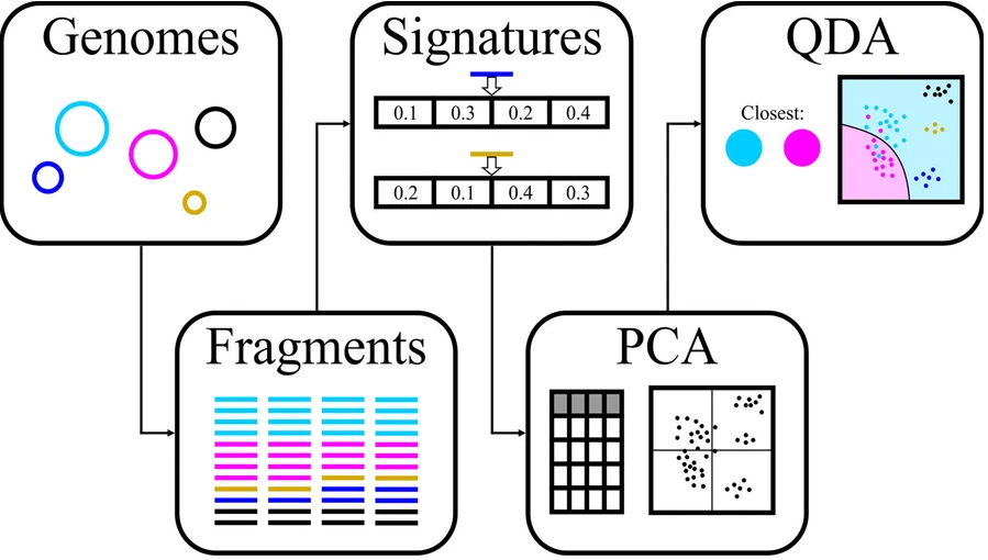 宏基因组组装质量评估新方法-MAGISTA_metaquast-CSDN博客