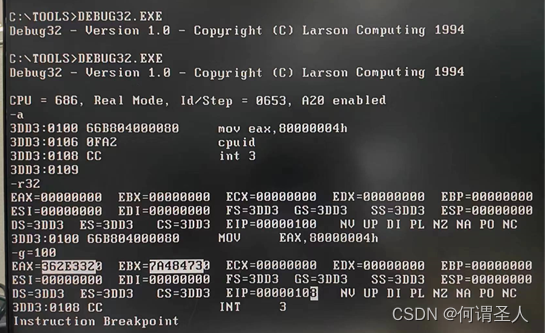 CPUID学习-CSDN博客