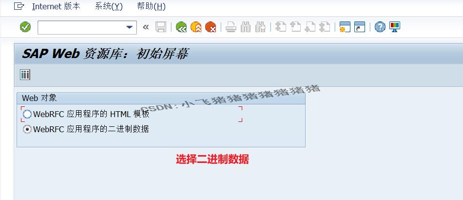 SAP SMW0上传模板-CSDN博客