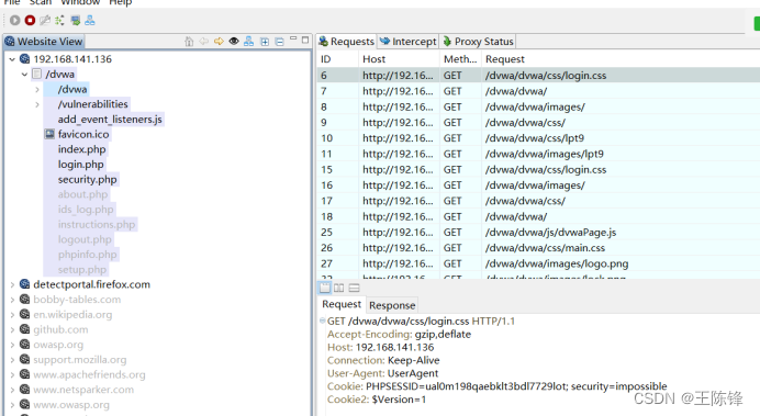 dvwa靶机与web漏洞扫描(vega)_dvwa扫描工具-CSDN博客