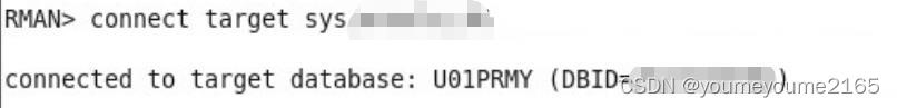 使用 RMAN 无法连接到 target database_rman-06171: not connected to target database-CSDN博客