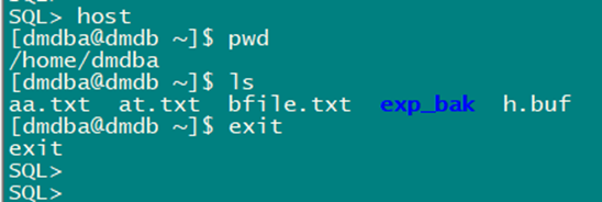 Disql日常使用整理_linux dmdisql执行存储过程-CSDN博客