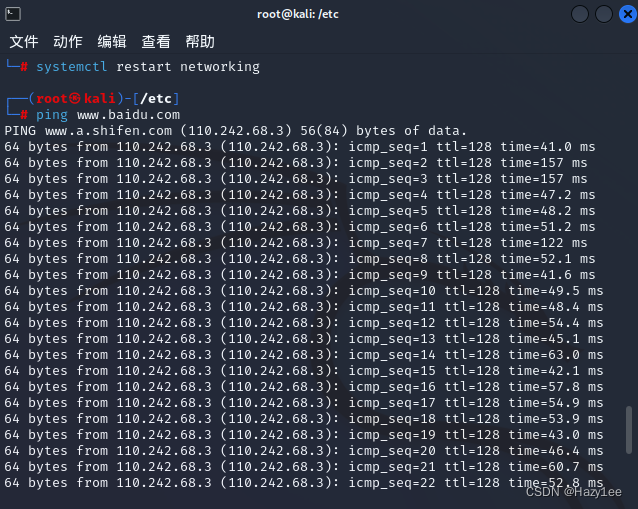 Kali NAT网络配置_kali网络配置 nat-CSDN博客