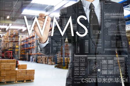 WMS软件系统工作原理是什么？-CSDN博客