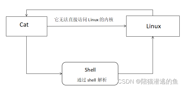 查看linux里面shell的种类_linux查看shell类型-CSDN博客