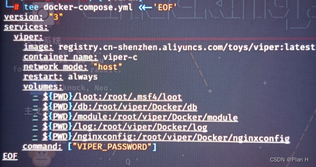 kali安装Viper和docker （本人亲测，一遍就过）-CSDN博客