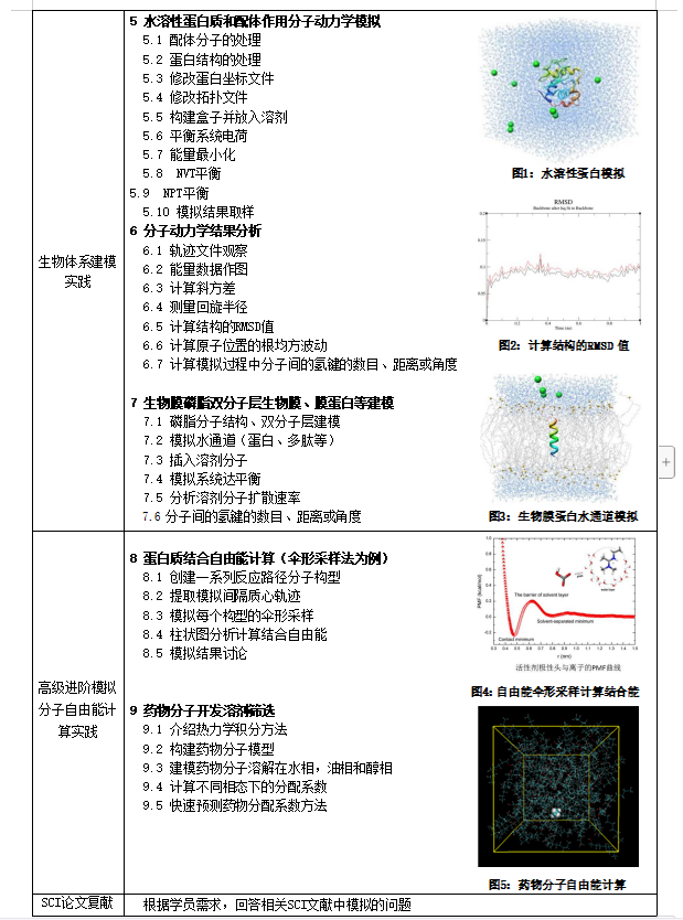分子动力学模拟Amber/Gromacs结合自由能计算 药效团模型构建RMSD、RMSF_rmsf和rmsd结果如何分析_Hbaixue的博客-CSDN博客