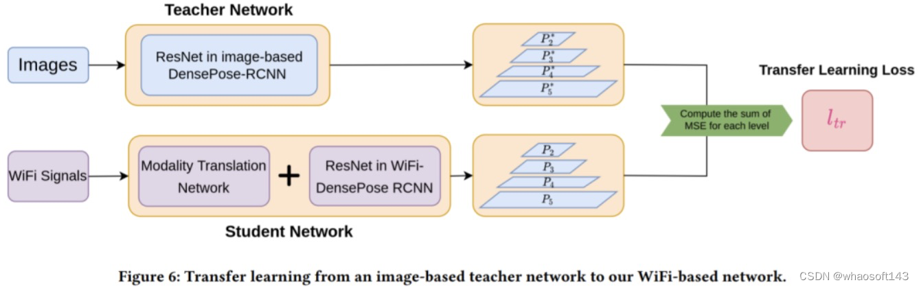 DensePose From WiFi-CSDN博客
