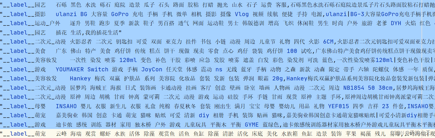 【fasttext——总结笔记】fasttext 损失函数自定义 Csdn博客 