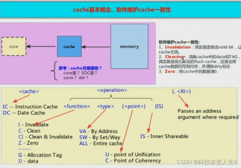 ARM架构-Cache_arm n1-CSDN博客