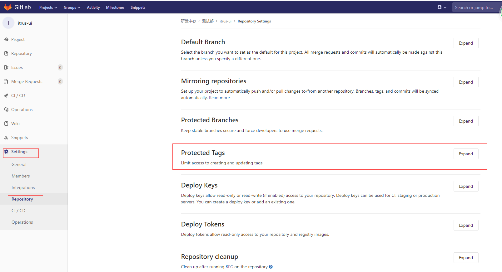 创建的项目，提交到gitlab后，组内其他人员无push权限原因_gitlab 普通用户 不能push-CSDN博客