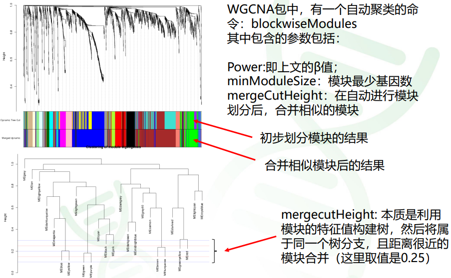 2022.04.14【读书笔记】|WGCNA分析原理和数据挖掘技巧_模块特征值-CSDN博客