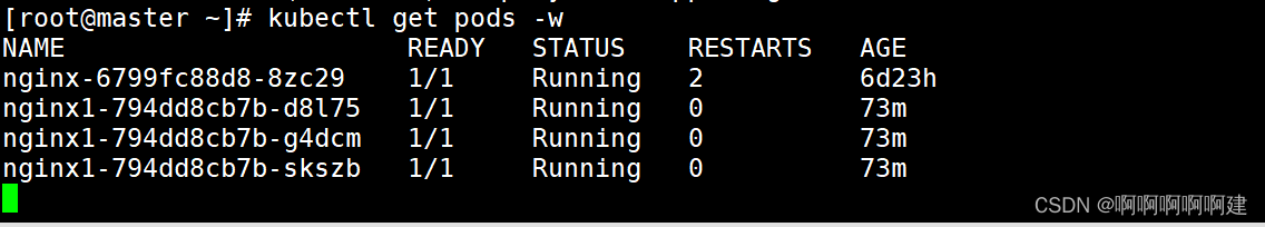 K8s管理工具kubectl详解（二）kubectl Revision Csdn博客