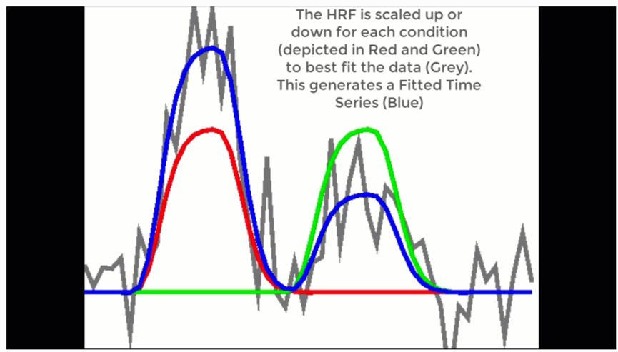 基于spm12的First_level分析_first-level spm model-CSDN博客