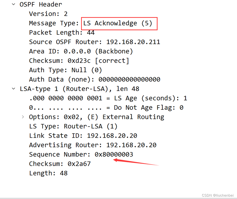 Anycast功能原理&OSPF报文分析-上手必看-CSDN博客