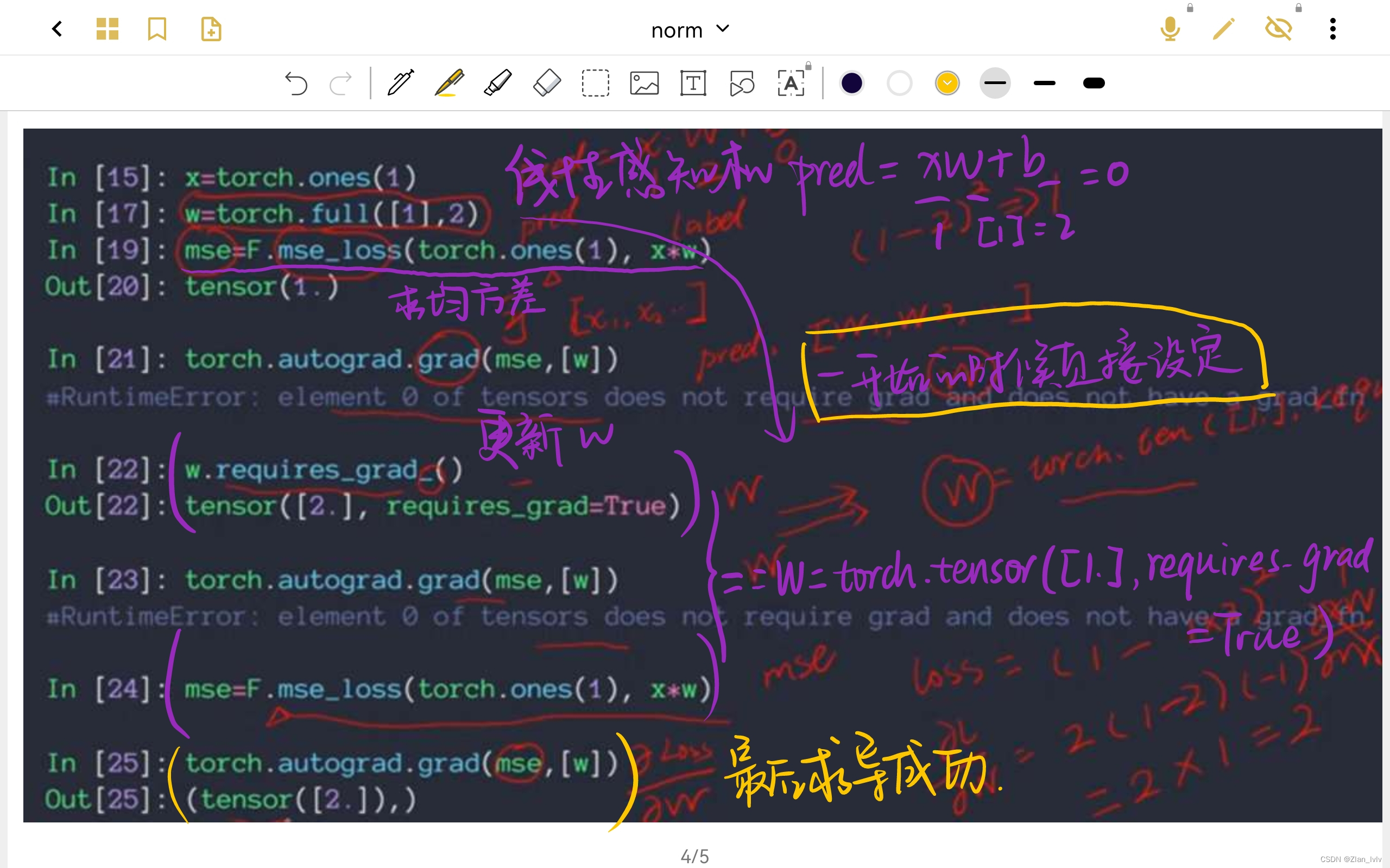 【pytorch基础】基础点整理4torchlinspace 1 1 Resolution Csdn博客